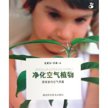 净化空气植物(提高室内空气质量)