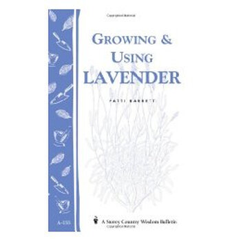【】Growing and Using Lavender