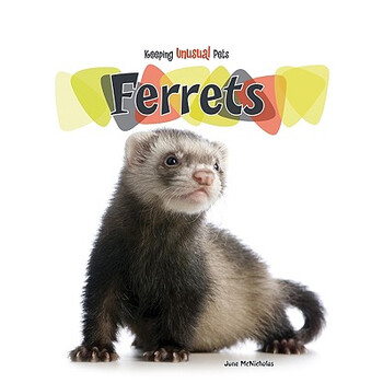 【】Ferrets