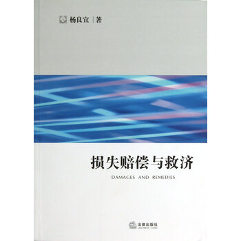 损失赔偿与救济