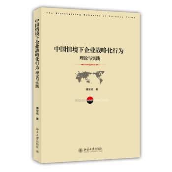 中国情境下企业战略化行为：理论与实践