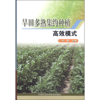 旱田多熟集约种植高效模式