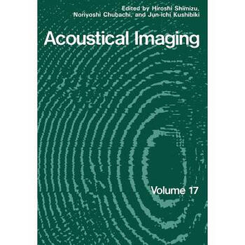 Acoustical Imaging