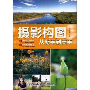 正版书籍 摄影构图从新手到高手9787533540012