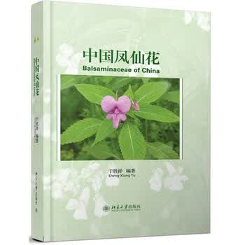 中国凤仙花