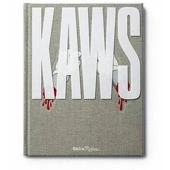 KAWS  英文原版