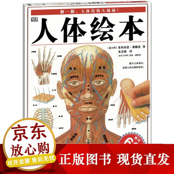 s人体绘本——精装 6岁以上 中学生 科普人体医学知识 立体翻页 解剖学视角 幼儿园读物 睡前故事