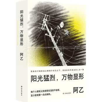 阳光猛烈，万物显形（阿乙作品）