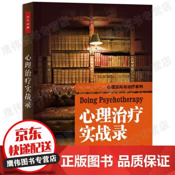 心理咨询与治疗系列：心理治疗实战录