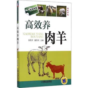 高效养肉羊