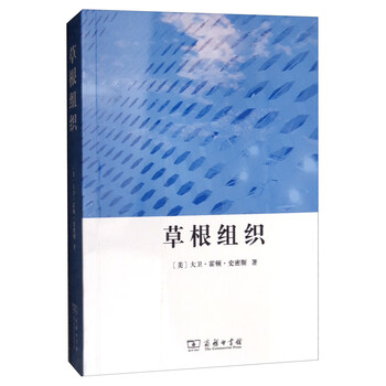 草根组织/公民社会研究译丛