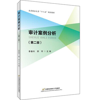 审计案例分析（第二版）