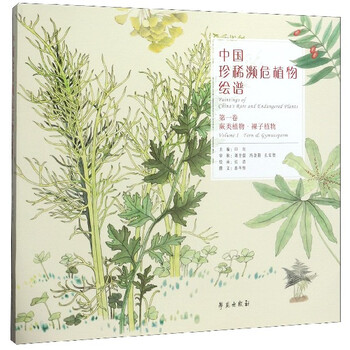 中国珍稀濒危植物绘谱( 卷蕨类植物裸子植物)