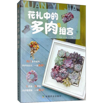 花礼中的多肉组合