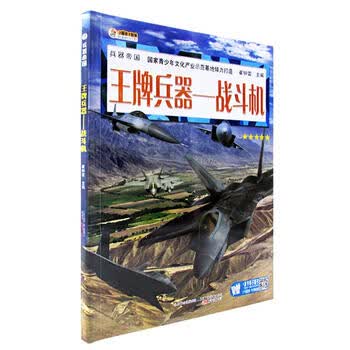 正版兵器战斗机崔钟雷