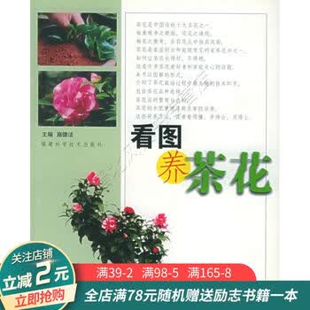 看图养茶花
