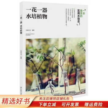 一花一器 水培植物 艺美生活