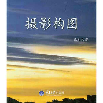 摄影构图 9787562451778