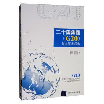 二十国集团（G20）创业服务报告