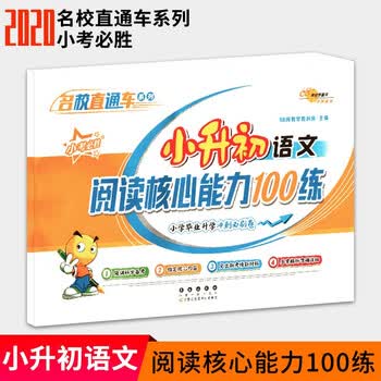 2020名校直通车小升初语文阅读核心能力100练 小学毕业升学冲刺必刷卷 2020小升初复习卷通正版