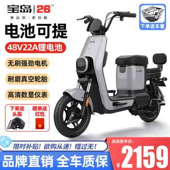 宝岛新国标电动车N5电动自行车48V成人可提电瓶车超长续航 22A锂电可提-灰配【续航70公里】【图片 价格 品牌 报价】-京东