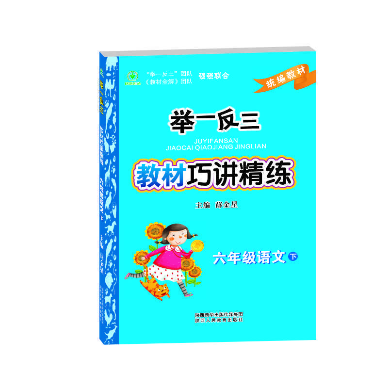 举一反三教材巧讲精练六年级下册统编版