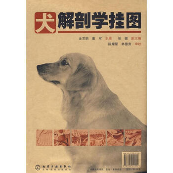 犬解剖学挂图 金艺鹏,董军　主编,张健　副主编,陈耀星,林德贵　审校