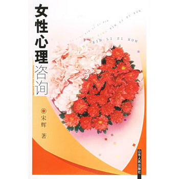 女性心理咨询 宋辉著 山东人民出版社