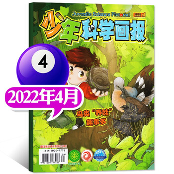 少年科学画报杂志2022年6月新（另有预售及2021年往期可选）青少年小学初中生科普百科儿童过期刊【单本】 2022年4月