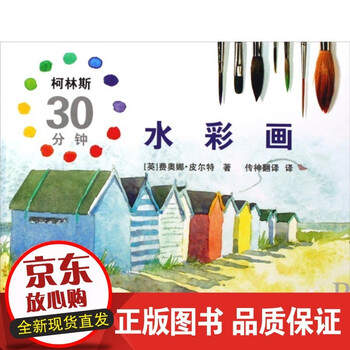 柯林斯30分钟水彩画(精)(美)费奥娜·皮尔特译者:传神翻译文联9787505964747