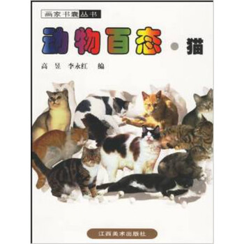 动物百态?猫猫的摄影站卧运动局部群体姿态