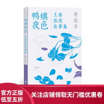 后浪官方正版 鸭镇夜色：王奎张亮故事集 曹寇深受中国传统文学影响的后现代小说短篇故事集