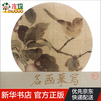 宋人花鸟(果熟来禽图)/名画摹写