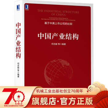 官网正版 中国产业结构 何志毅 基于中美上市公司的比较 市值 销售收入 利润 市盈率 利润率 收益率