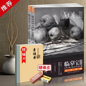 【】 临摹宝3素描静物 敲门砖李家友编单体组合图文讲解结构素描明暗素描画面透视