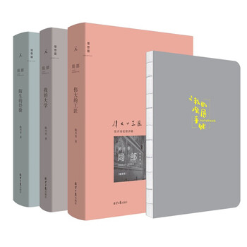 理想国局部1-3陈丹青 陌生的经验+伟大的工匠+我的大学 共3册 陈丹青著 北京日报出版社 文人画 西方艺术史 纽约琐记美术艺术史美学文化书 局部三部曲