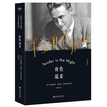 夜色温柔 弗朗西斯·司各特·菲兹杰,译者 杨蔚 ,果麦文化 出品【正版书】