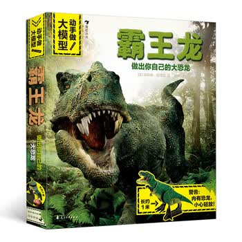 霸王龙/动手做大模型