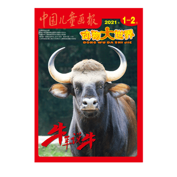动物大世界2022年1月2022年12月共12册每月快递