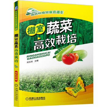 棚室蔬菜高效栽培