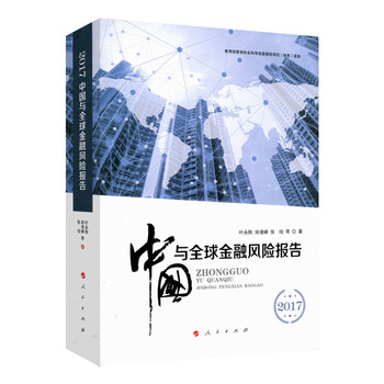 2017中国与金融风险报告/金融与投资/书籍