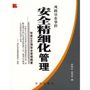 安全精细化管理:世界500强安全管理精要 祁有红 新华出版社