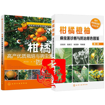 2本 柑橘橙柚病虫害诊断与防治原色图鉴+高产栽培与病虫害防治图解 柑橘整形修剪桔子橙柚子果树种植
