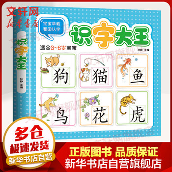 宝宝早教看图认字识字大王 3-6岁儿童幼儿园入学准备 早教启蒙幼小衔接