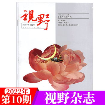 视野杂志 2022年第10期