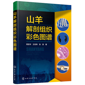 山羊解剖组织彩色图谱 山羊解剖彩色照片详解 山羊消化系统 泌尿系统 生殖免疫系统 动物医学解剖学书籍
