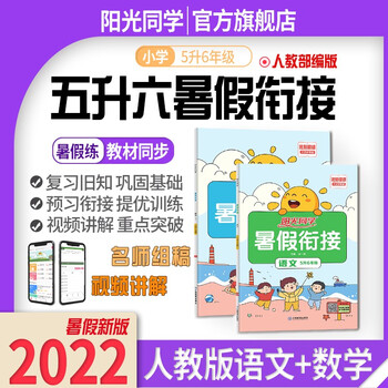 阳光同学暑假衔接五升六人教版语文数学套装 22秋新版五年级六年级暑假作业小学5年级升6年级暑假同步练习题预习作业本 五升六语文+数学人教版