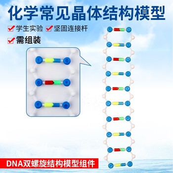化学常见晶体结构模型碳60结构模型石墨/氯化钠/二氧化硅/金刚石/二氧化碳/DNA双螺旋结构模型 DNA分子结构模型组件