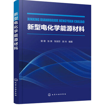 新型电化学能源材料正版