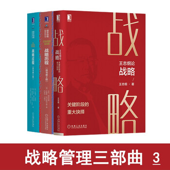 正版3册 战略管理三部曲：王志纲论战略:关键阶段的重大抉择+战略历程(原书第2版)+战略过程：概念、情境与案例（原书第5版）机械工业出版社图书